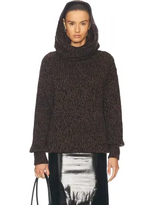Alexander McQueen Hooded Sweater - Brown & Tan