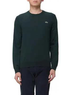Lacoste Crew Neck Sweater With Embroidered Logo - Green