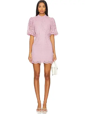 Steve Madden Diya Lace Dress - Mauve Shadows