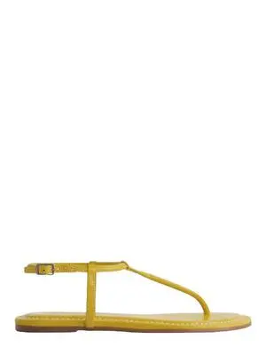 Bernardo Bernardo Footwear Hercu T-Strap Sandal Daisy
