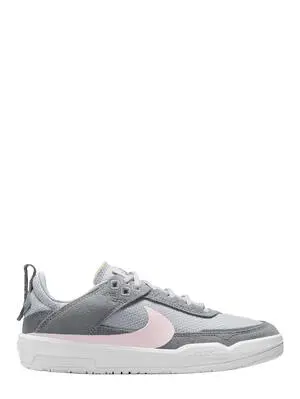 Nike Sb Day One Sneakers - Cool Grey/wolf Grey/pure Platinum