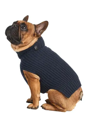 Vince Wool And Cashmere Shaker-stitch Dog Sweater - Black