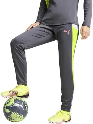 PUMA Individualblaze Soccer Pants - Gray