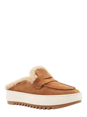 Aquatalia Amata Shearling Mules Camel