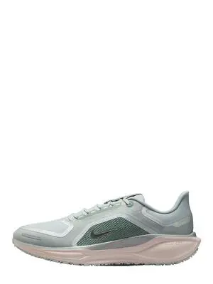 Nike Pegasus 41 Gore-tex Waterproof Road Running Shoes - Grey