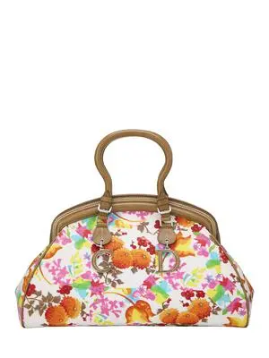 Dior Christian Dior Trotter Canvas Floral Frame Satchel Multi