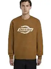 Dickies Crew Neck Sweater - Brown Duck