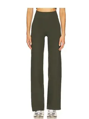 437 The Essentials Pant - Forest