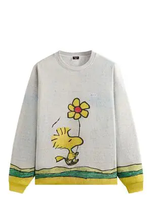 Kith For Peanuts Woodstock Comic Nelson Crewneck - Grey