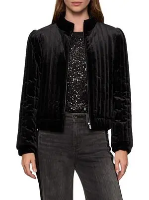 Sanctuary Quilted Velvet Jacket - Black