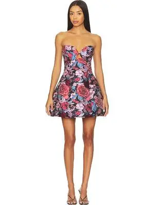ELLIATT Delphine Tulip Mini Dress - Multi