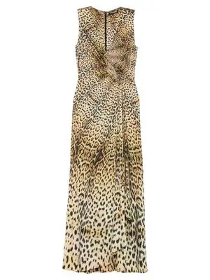 Roberto Cavalli Animal-print Maxi Dress - Brown