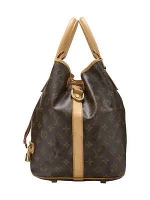 LOUIS VUITTON Monogram Canvas Neo - Brown