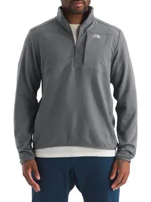 The North Face Performance Fleece Half Zip - Smoked Pearl