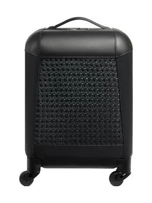 AVITEUR Calfskin Lucite Handle Carry-on 19 Luggage - Black/palladium