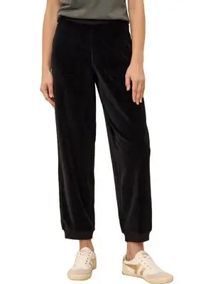 PACT Organic Cotton Pure Velour Relaxed Sweatpant - Black