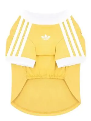 Adidas Pet Cali Tee Shirt - Sunlight Yellow/jade White
