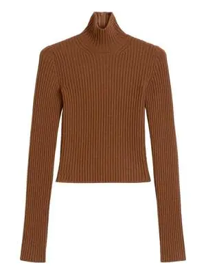 Max Mara Wool And Cashmere Ribbed Turtleneck - Tobacco