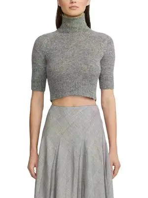 Ralph Lauren Turtleneck Short-sleeve Top - Grey