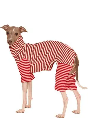 LITTLE BEAST Stretch-cotton Dog Onesie - Stripe