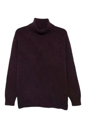 Eric Bompard Raglan-sleeve Roll-neck Sweater - Purple