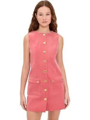 English Factory Velvet Mini Dress - Rose