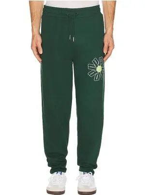 PRINCE TENNIS Fleece Pant - Green