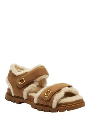Coach Brynn Suede Sandal - Coconut/natural
