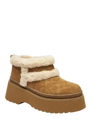 COACH Christina Bootie In Signature Suede - Tobacco