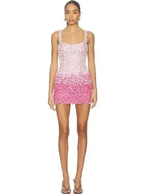 LA FUORI Ombre Embroidered Dress - Pink Petal
