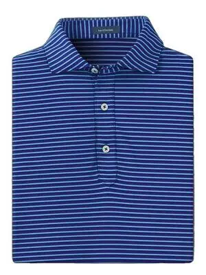 TURTLESON Clark Stripe Performance Polo - Navy/royal