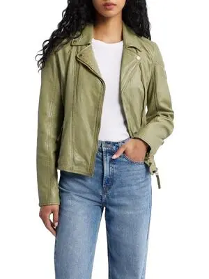 Mauritius Leather Moto Jacket - Sage