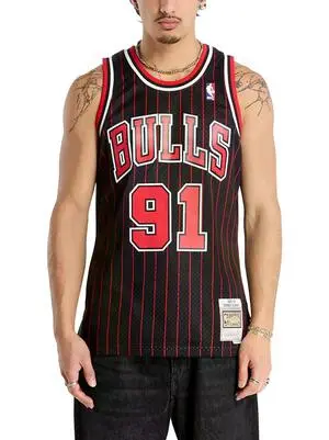 Mitchell & Ness 1995-96 Nba Chicago Bulls Dennis Rodman Swingman Striped Tank Top - Black