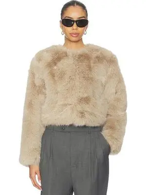 Blanknyc Crop Faux Fur Coat - Prime Asset