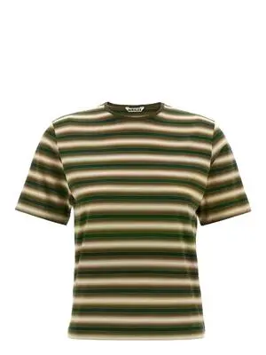 Auralee Striped Crew-neck T-shirt - Green