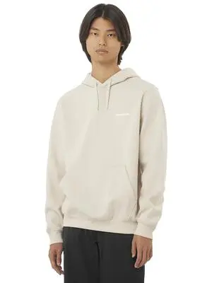 SALOMON Chest Logo Hoodie Rainy Day