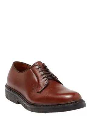 Alden All Weather Plain Toe Derby - Brown Alpine Grain Calfskin