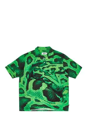 PALACE Snake Print Shirt - Green
