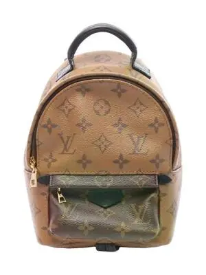 LOUIS VUITTON 2017 Palm Springs Backpack - Brown