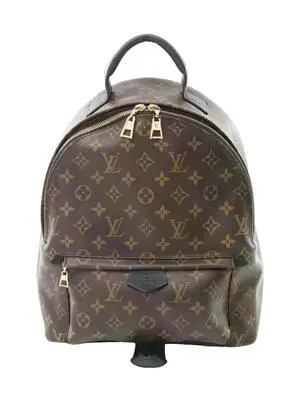 LOUIS VUITTON 2020 Palm Springs Mm Backpack - Brown