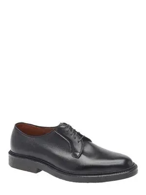 Alden All Weather Plain Toe Derby - Black