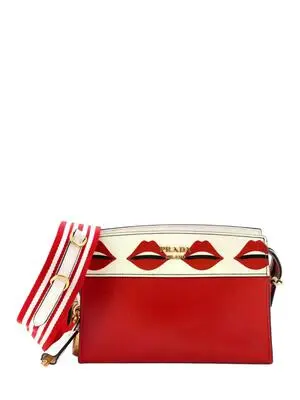 PRADA Esplanade Printed Saffiano And City Calf Small Crossbody Bag