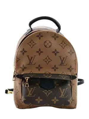 LOUIS VUITTON Palm Springs Mini Backpack - Brown