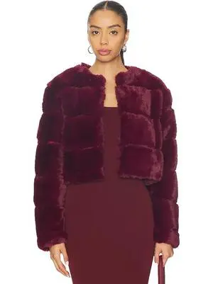 Blanknyc Cropped Faux Fur Coat - Page Turner