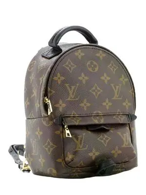 LOUIS VUITTON Palm Springs Monogram Canvas Mini Backpack - Brown