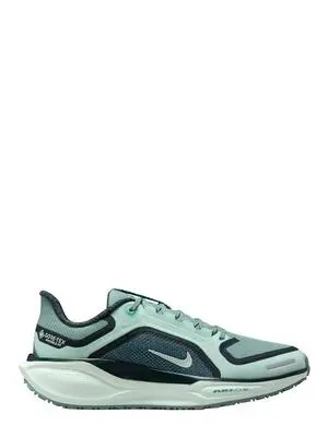 NIKE Pegasus 41 Gore-Tex