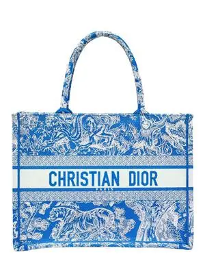 DIOR Christian Dior 2024 Book Tote Bag