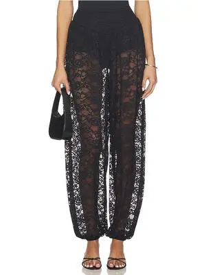 Steve Madden Alara Pant - Black
