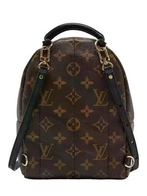 LOUIS VUITTON Louis Vuitton 2024 Palm Springs Backpack