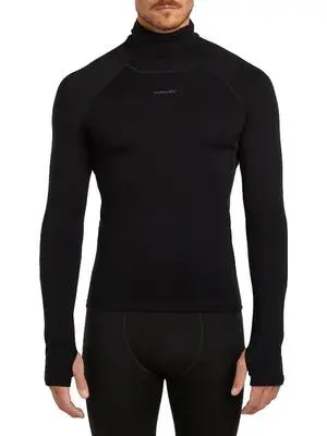 ICEBREAKER 300 Polar MerinoFine Turtleneck Top
